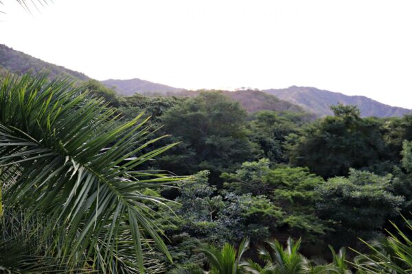 Rui Palace Costa Rica all-inclusive review - Tales of Annie Bean ...