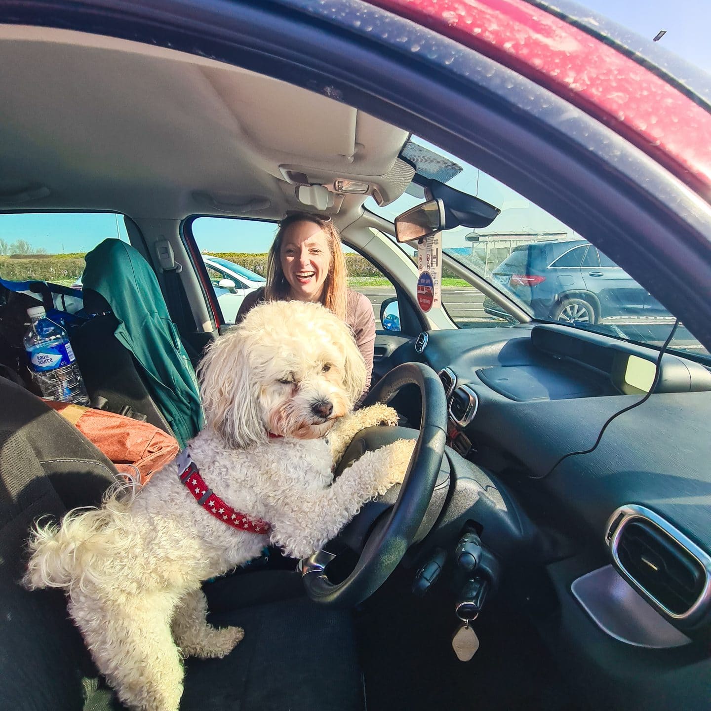 How to take your dog on Le Shuttle - Tales of Annie Bean | Travel ...